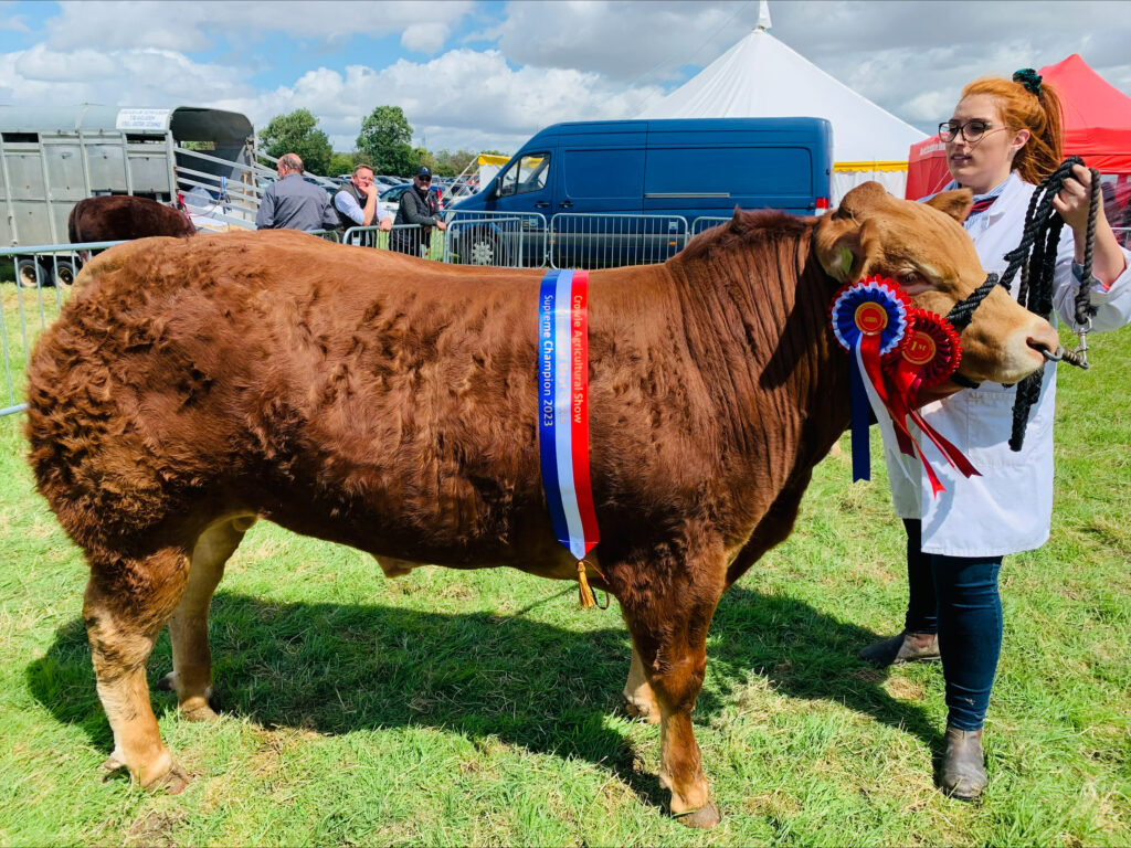 Livestock - Crowle Show